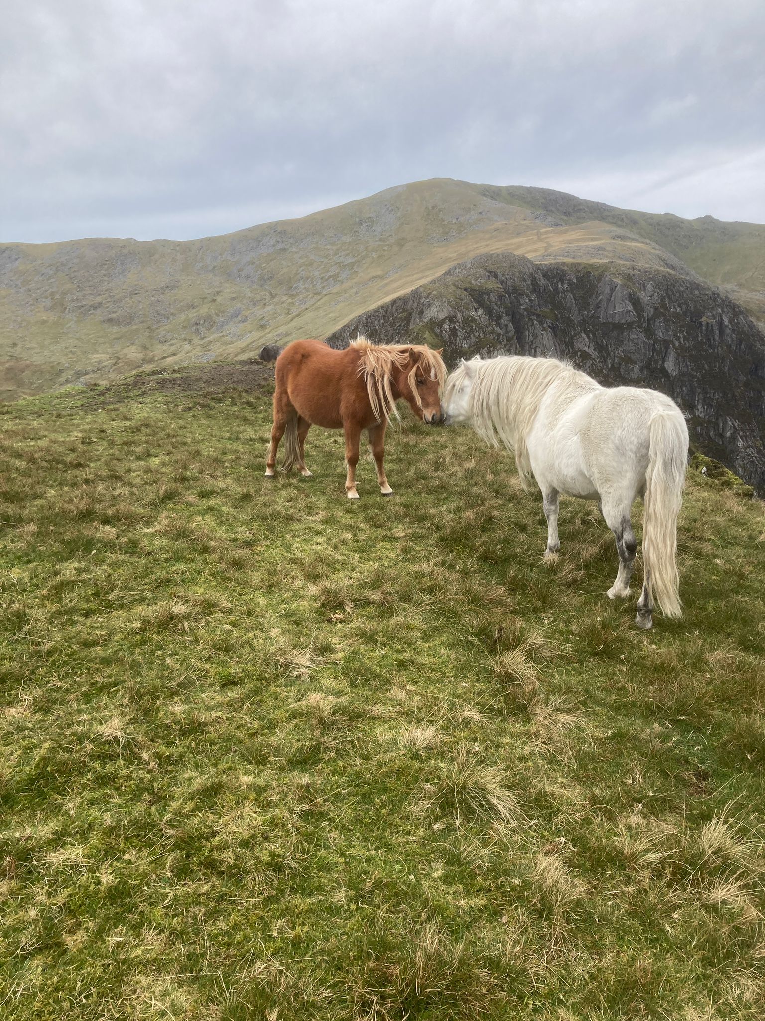 CMC Carneddau Walk Report – Chester Mountaineering Club
